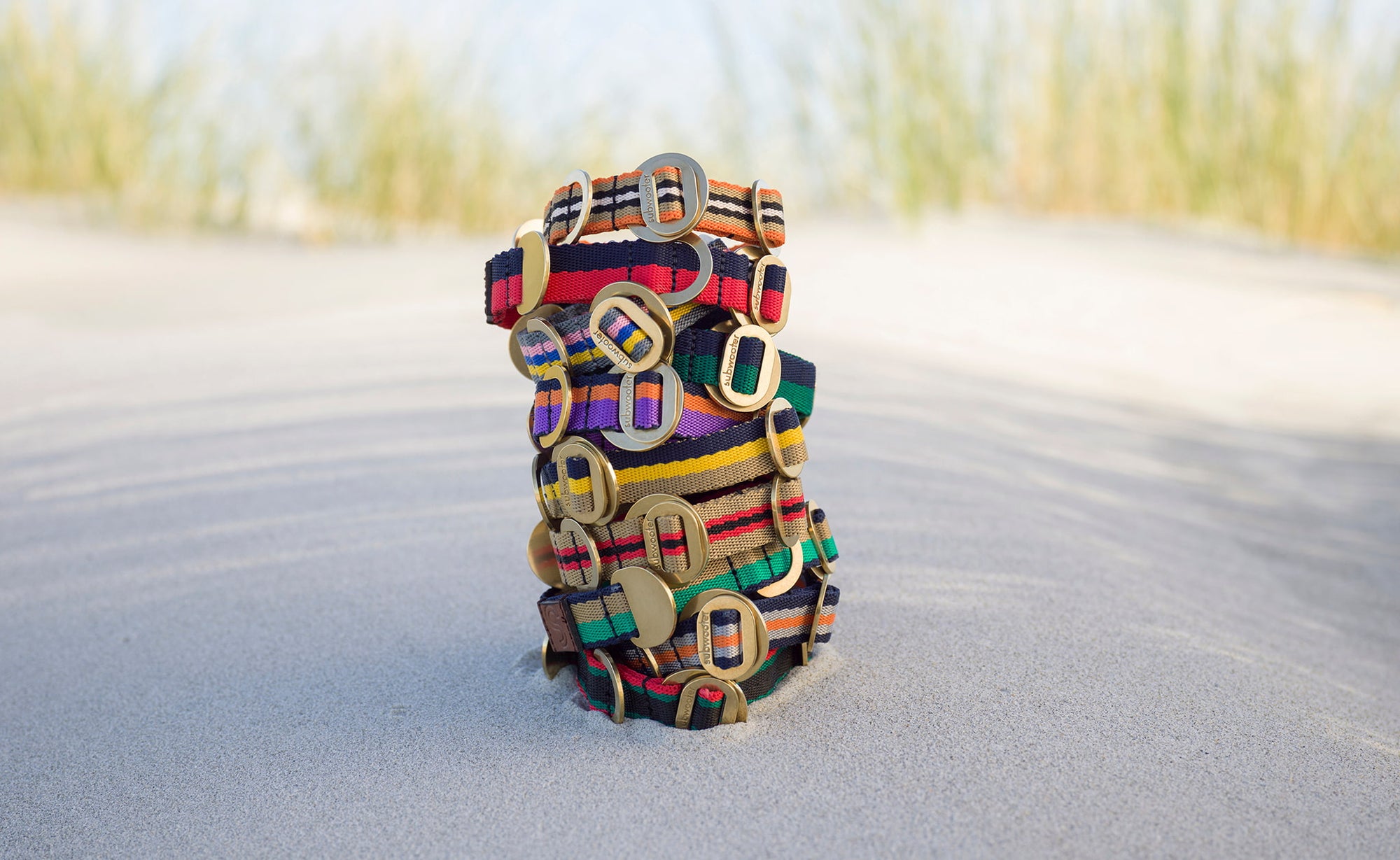 Collars – Subwoofer Dog